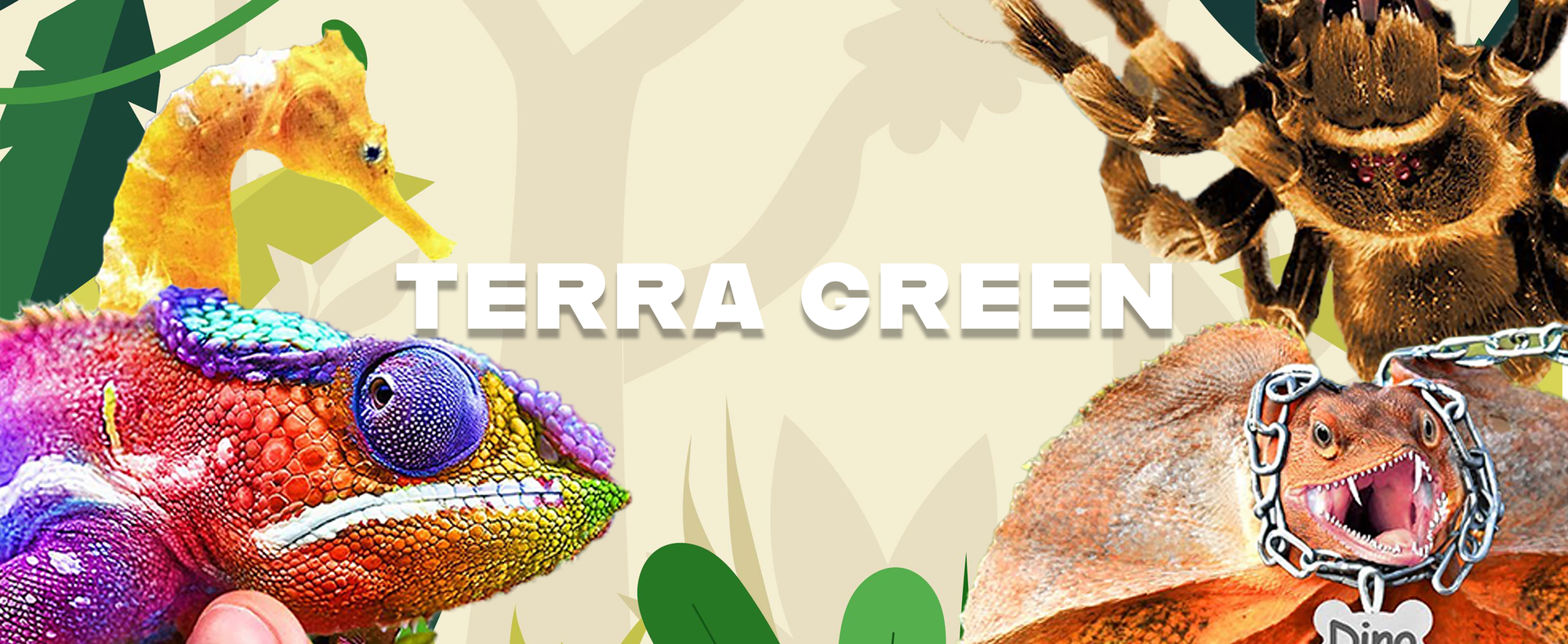Terra Green's Merchandise
