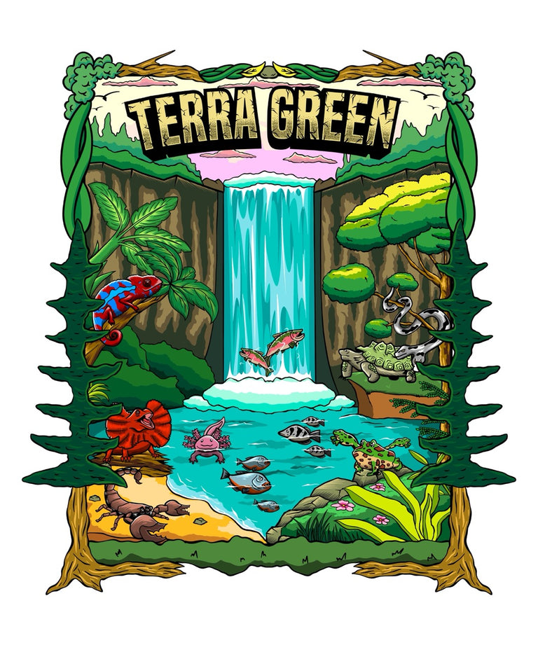 Terra Green Activity Book